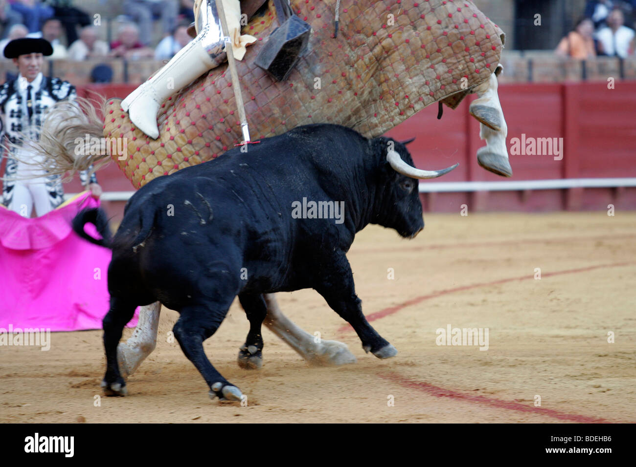 Bull lifting the picador's horse while being speared. Bullfight at Real ...