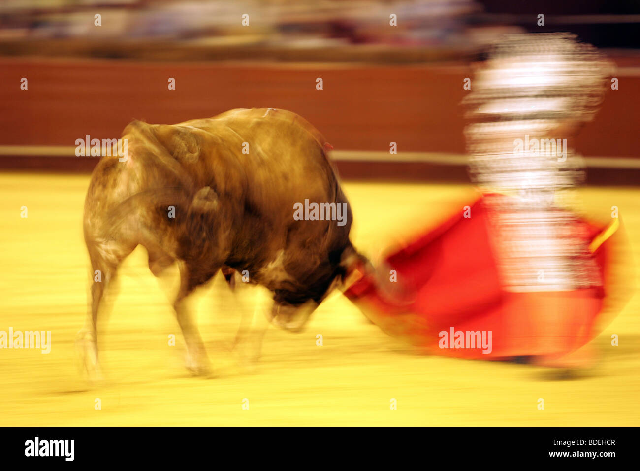 Motion blurred bullfight action. Bullfight at Real Maestranza bullring ...