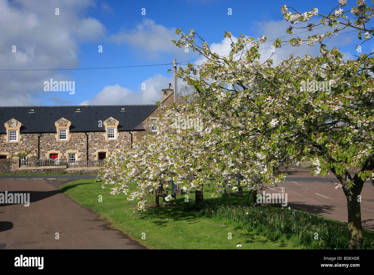 Northumbria spring hi-res stock photography and images - Alamy