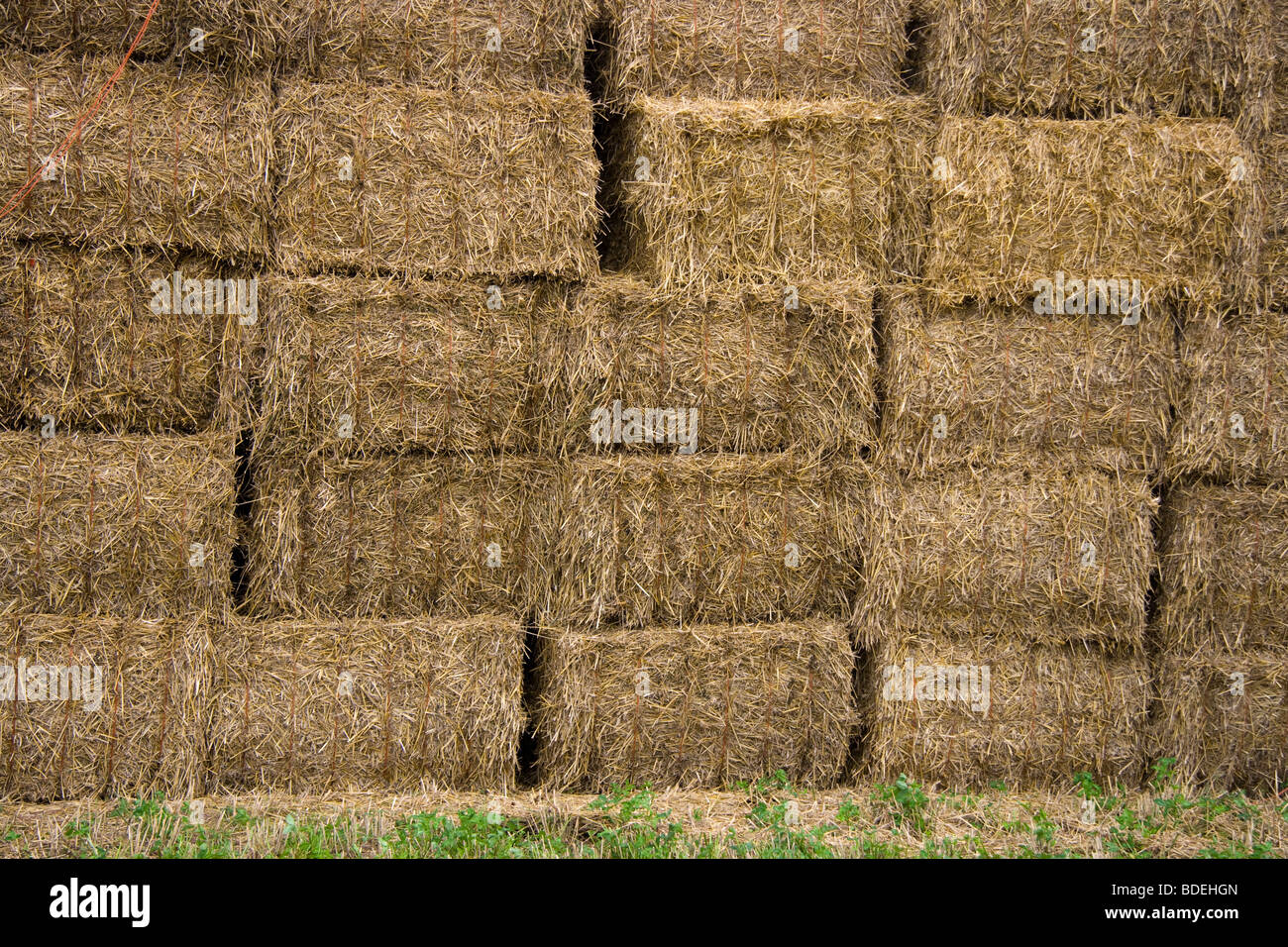 Bales of Hay Stock Photo - Alamy