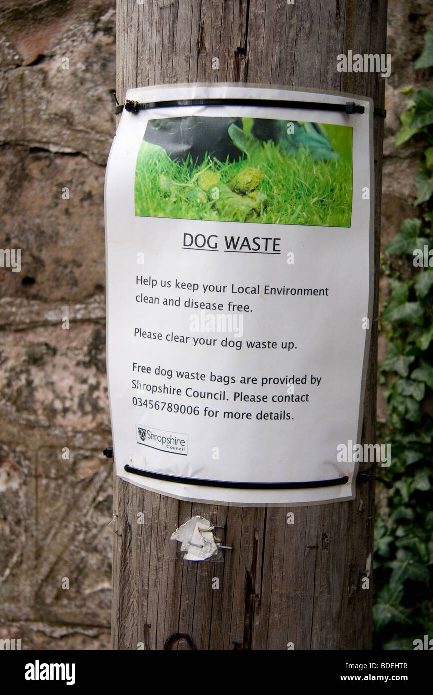 "Dog Waste" warning sign on a telegraph pole in England Stock Photo - Alamy