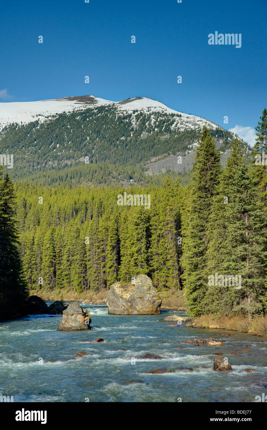 Maligne River with Maligne Range in Background Jasper National Park ...