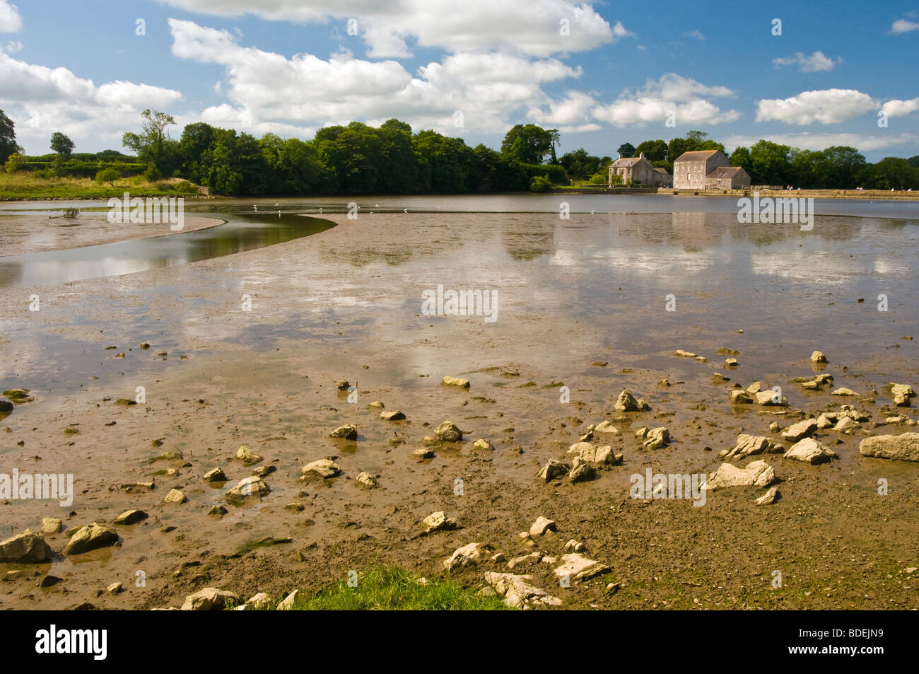 Carew Tidal Mill in Pembrokeshire West Wales Stock Photo - Alamy