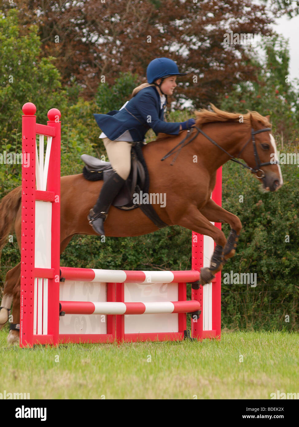 Devon show jumping High Resolution Stock Photography and Images - Alamy