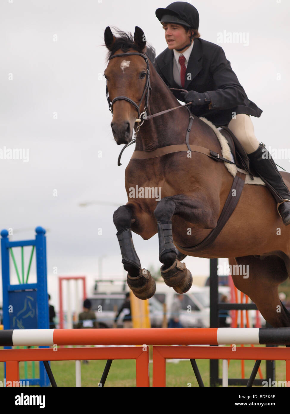 Devon show jumping High Resolution Stock Photography and Images - Alamy