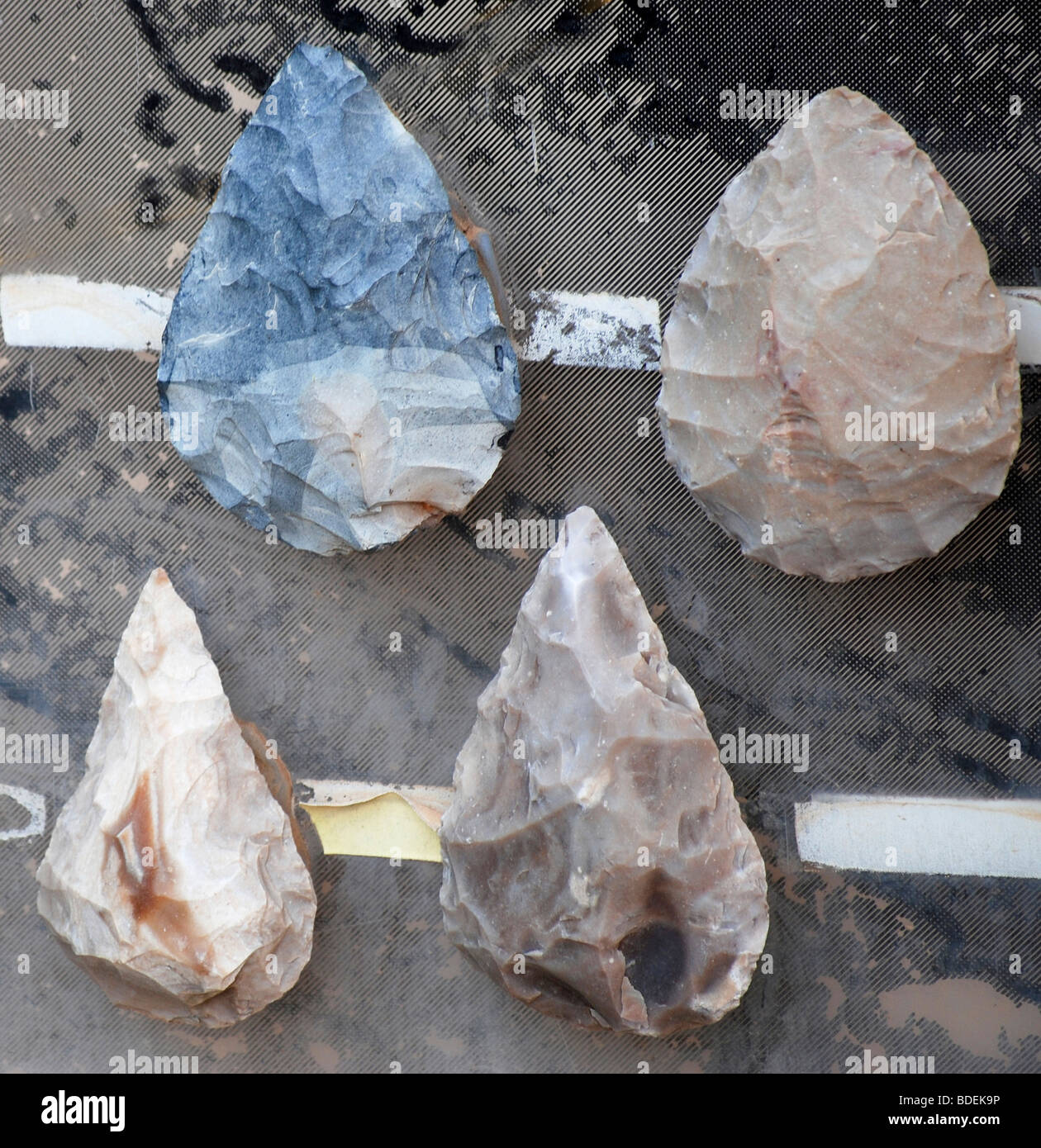 Homo erectus tools hi-res stock photography and images - Alamy