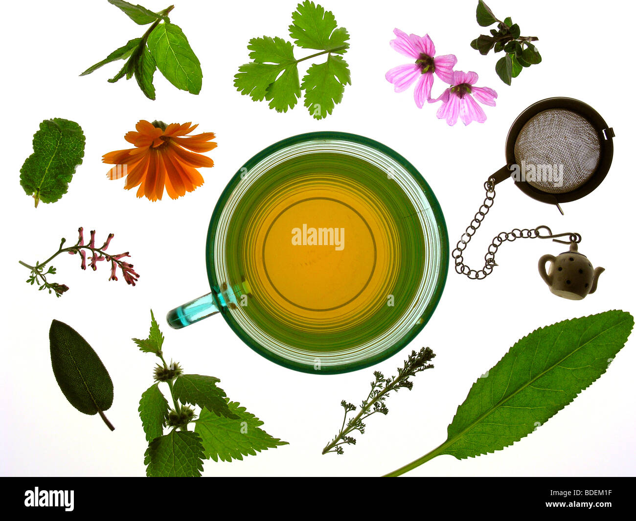 Cup green tea flower Cut Out Stock Images & Pictures - Alamy