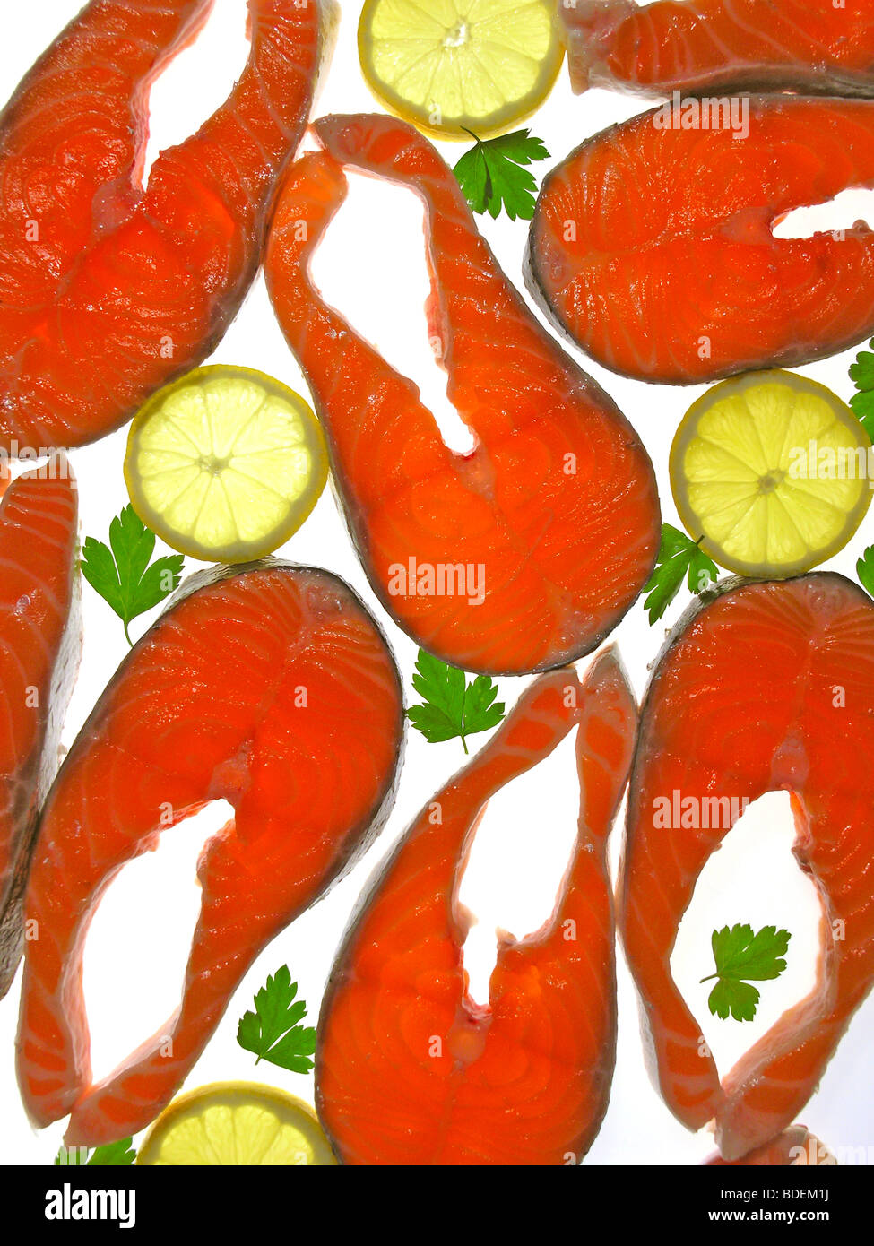 Salmon in the ocean Cut Out Stock Images & Pictures - Alamy