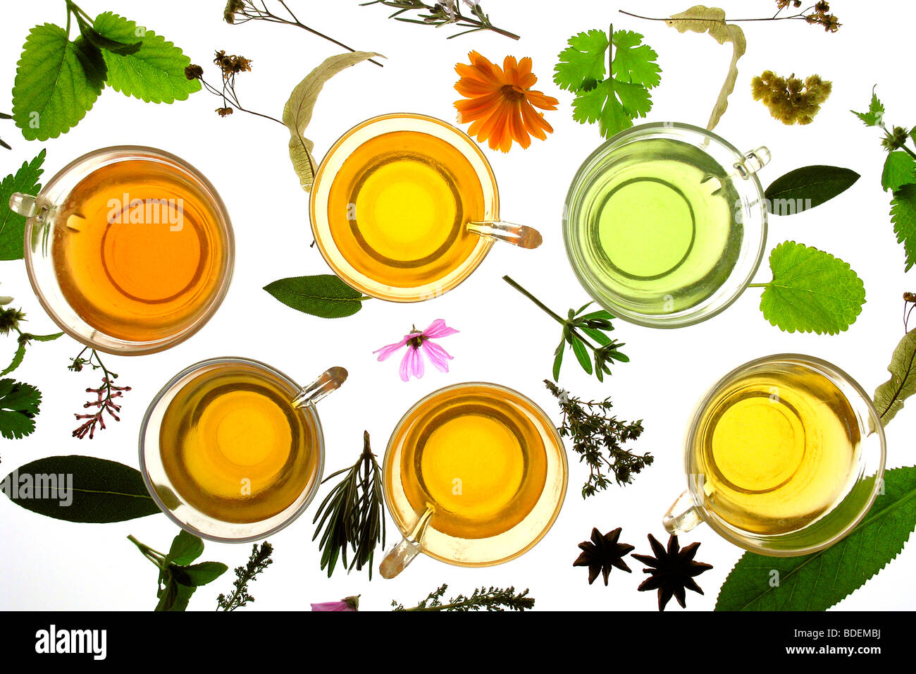Medicinal herb blend hi-res stock photography and images - Alamy