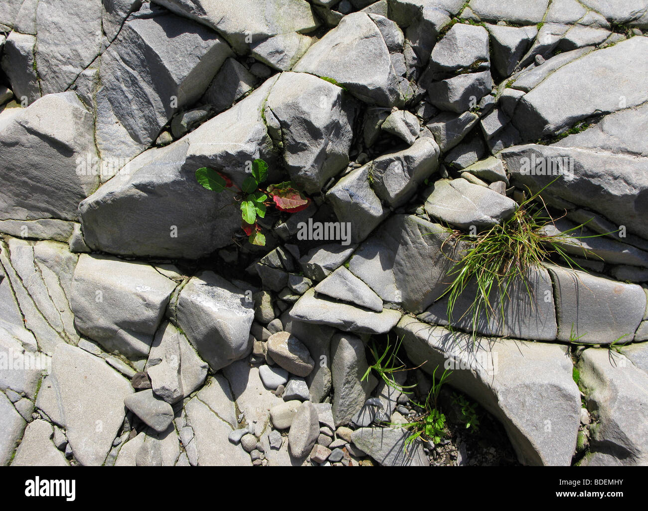 Rock patterns hi-res stock photography and images - Alamy