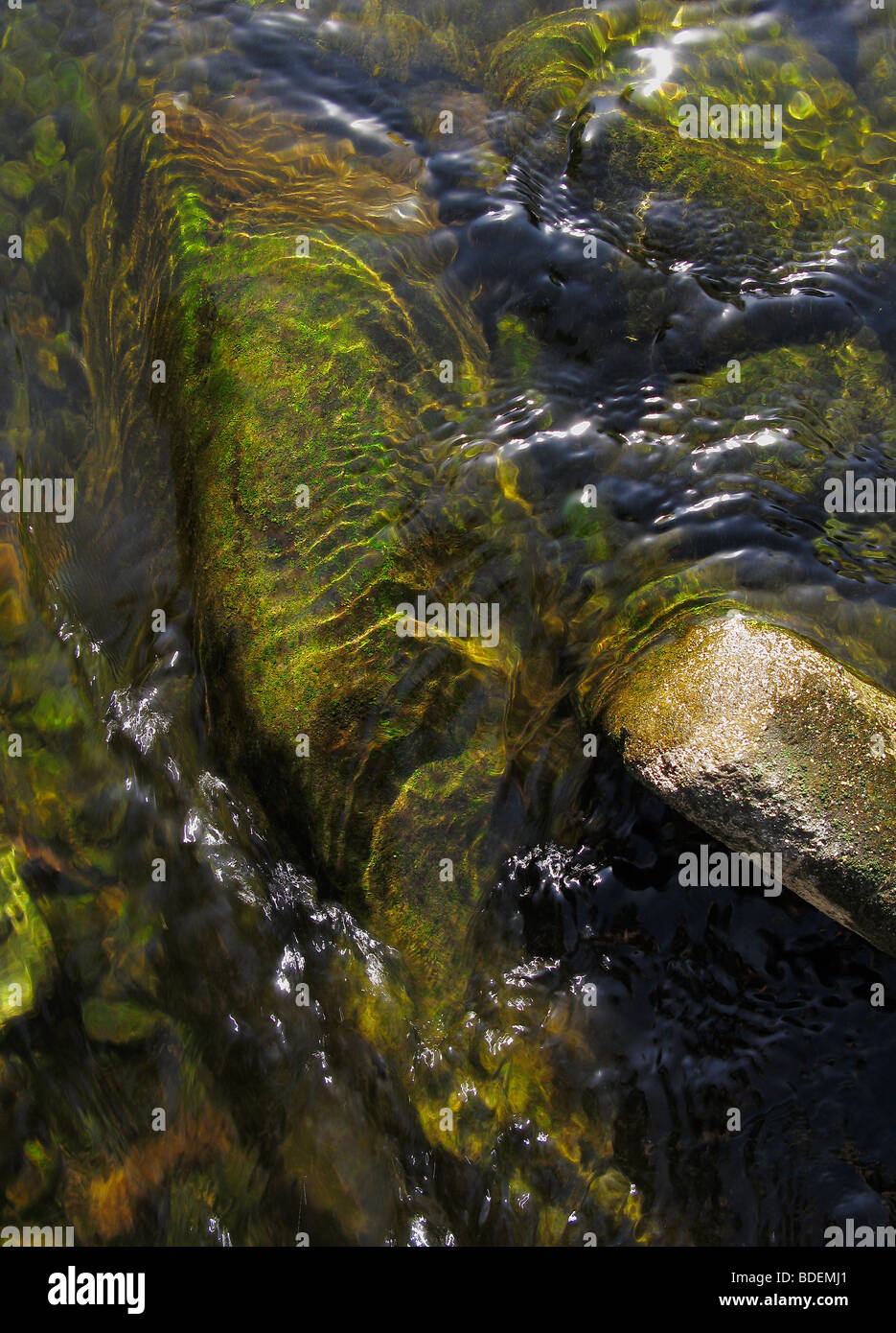River, close up, concept Stock Photo - Alamy