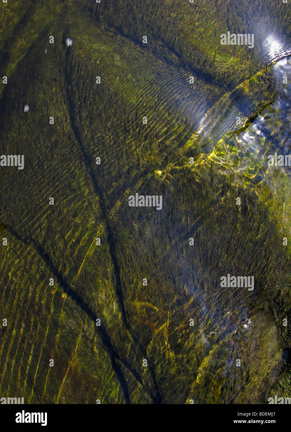 River, close up, concept Stock Photo - Alamy