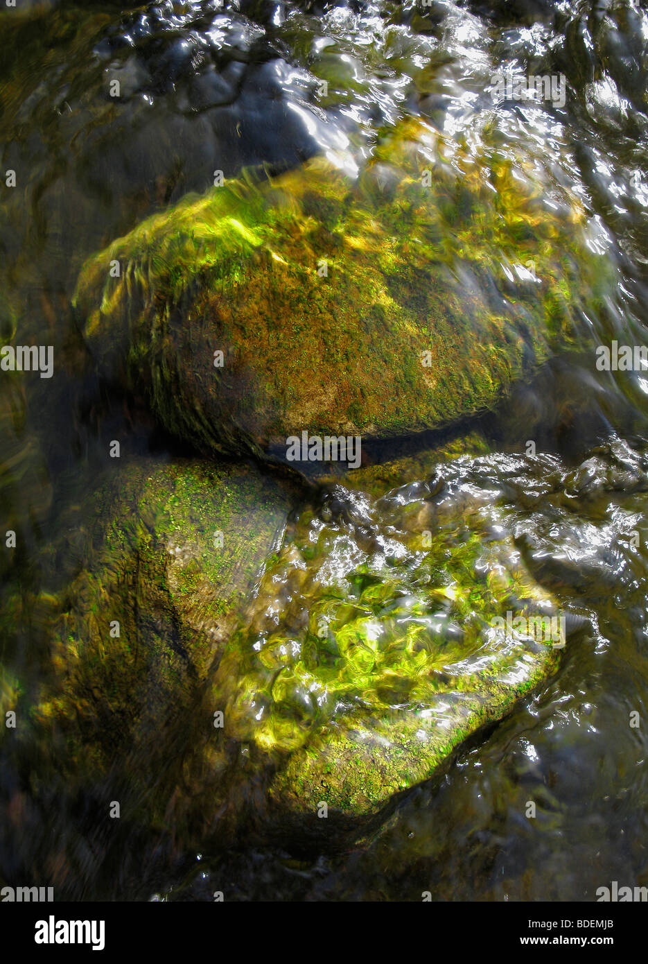 River, close up, concept Stock Photo - Alamy