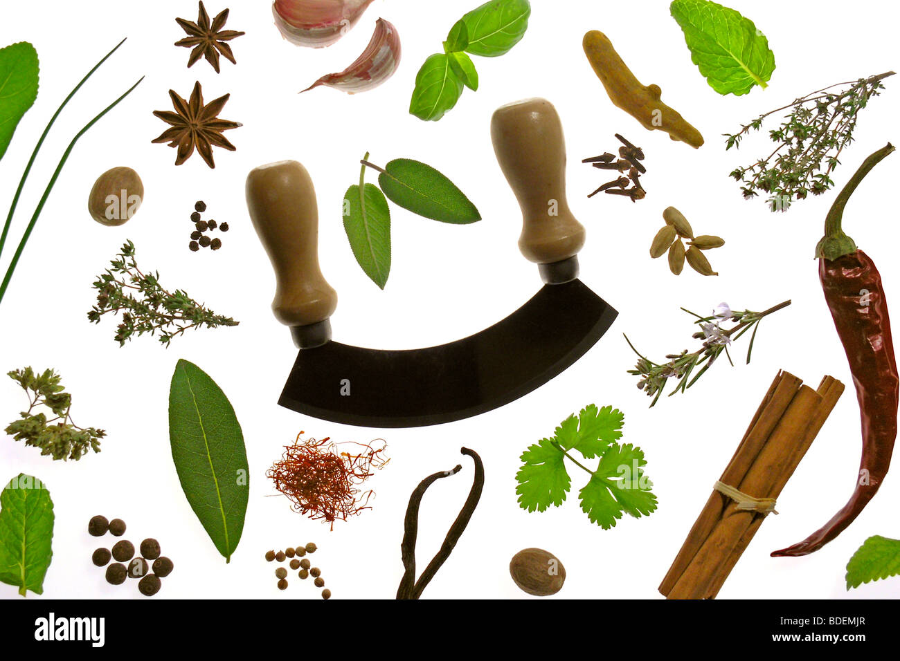 Spices aromatic herbs Cut Out Stock Images & Pictures - Alamy