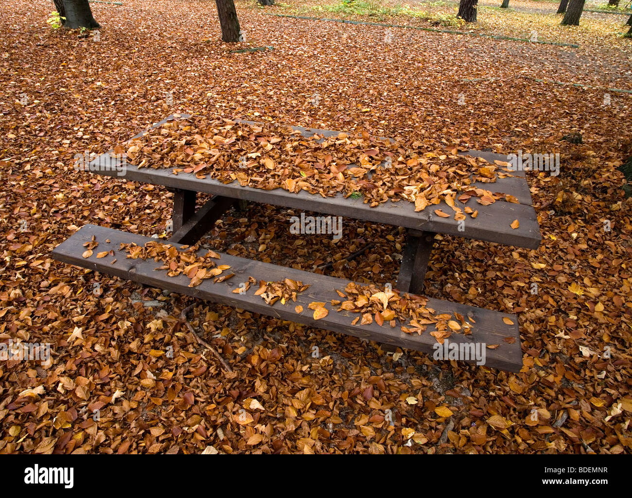 Park at fall Stock Photo - Alamy