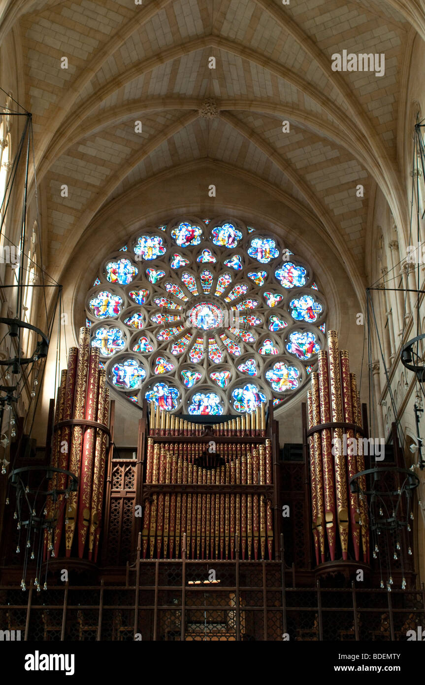 Rose window and the organ of Arundel Cathedral, West Sussex, UK Stock ...