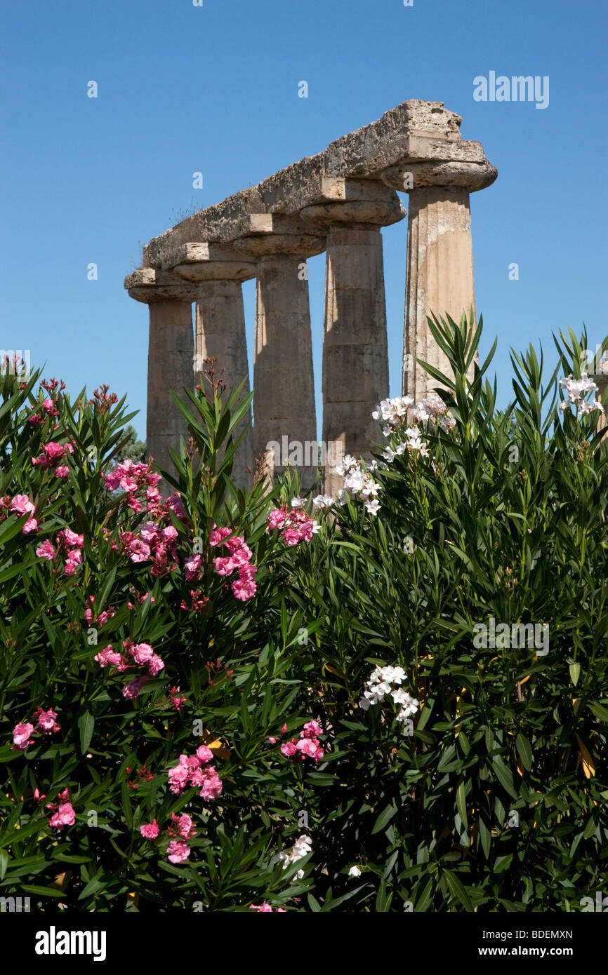 Detail of the "Tavole Palatine" at Metaponto, Italy, viewed from the ...