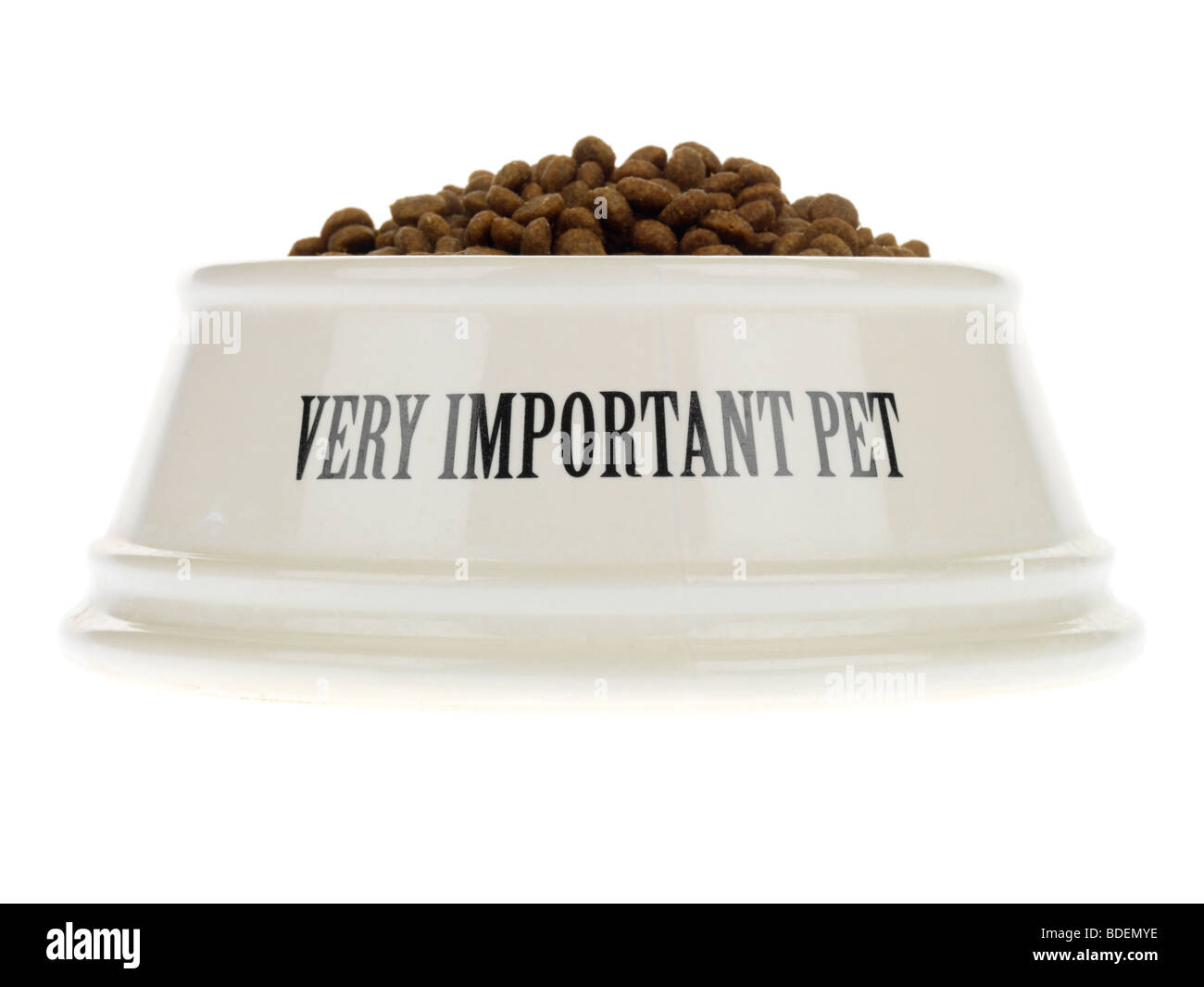 Cat and Her Food Stock Photo - Alamy