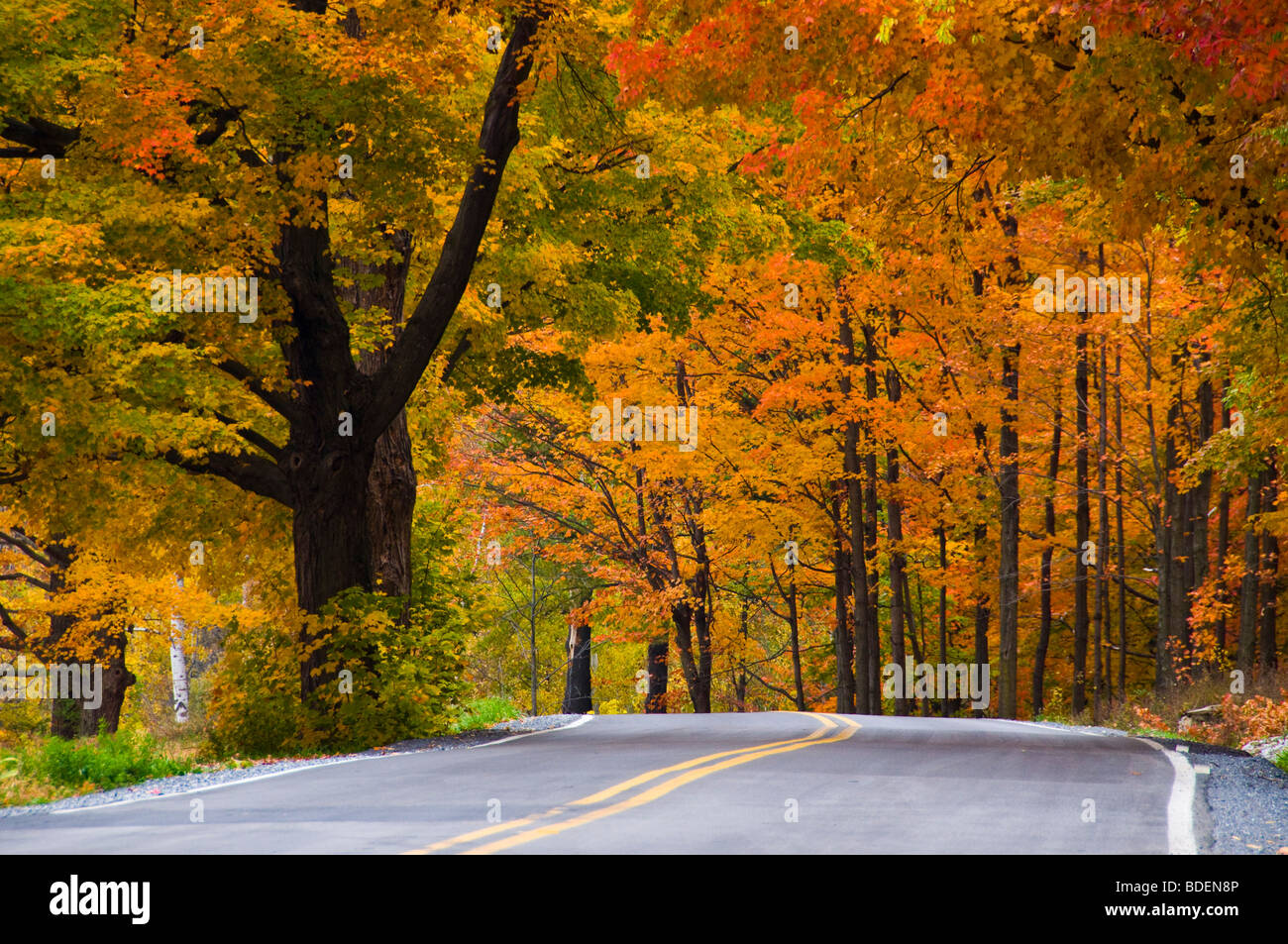 Countryside road Eastern Townships Province of Quebec Canada Stock ...