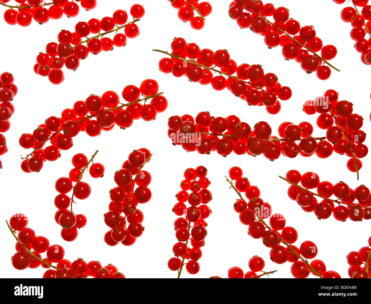 Red currants in white Cut Out Stock Images & Pictures - Alamy