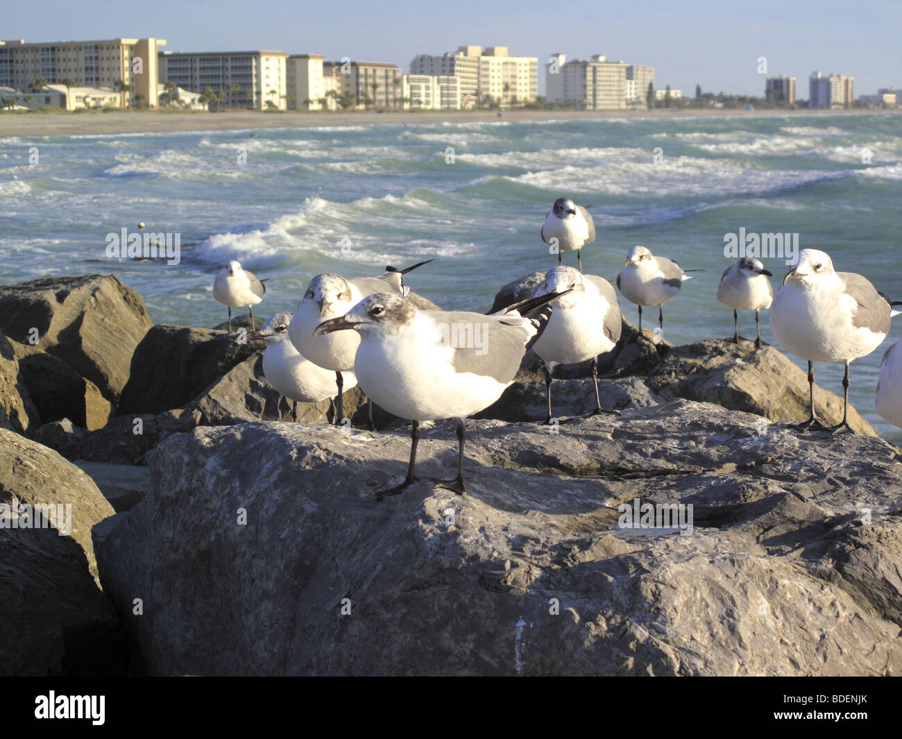 Florida beach surfers hi-res stock photography and images - Alamy