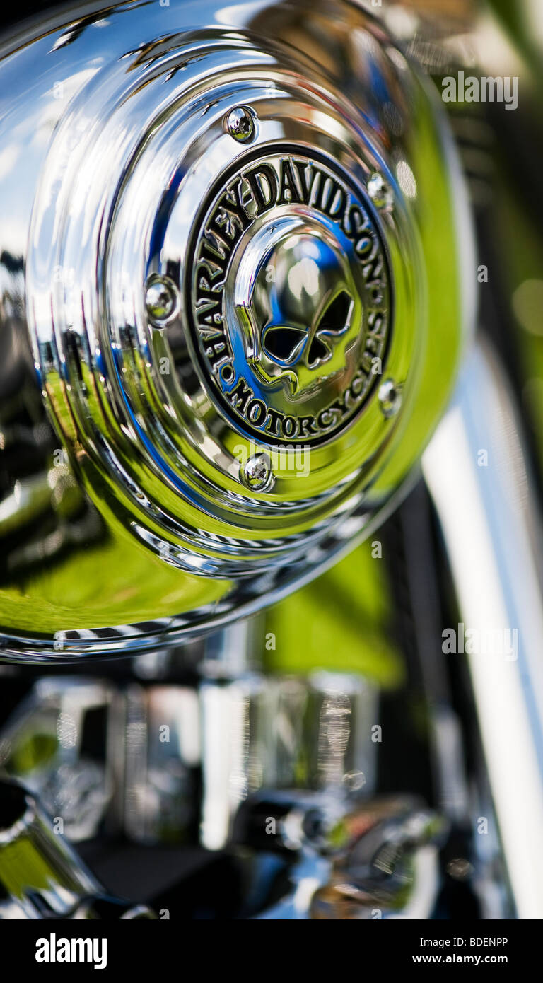 Harley Davidson motorcycle, custom chrome engine casings with skull ...