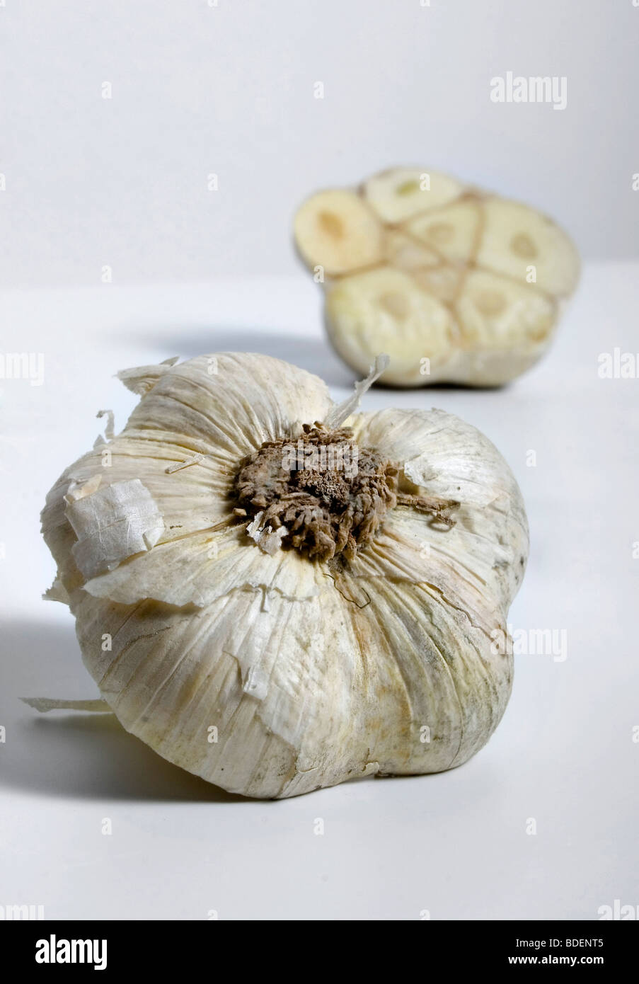 Slit white hi-res stock photography and images - Alamy