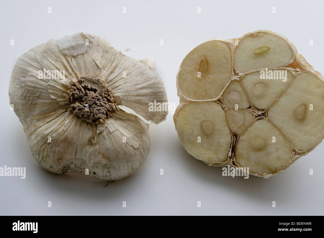 split white garlic Stock Photo - Alamy