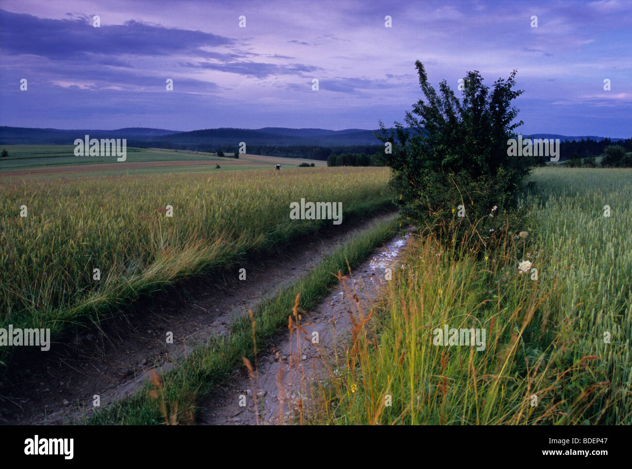 Fabulous country hi-res stock photography and images - Alamy