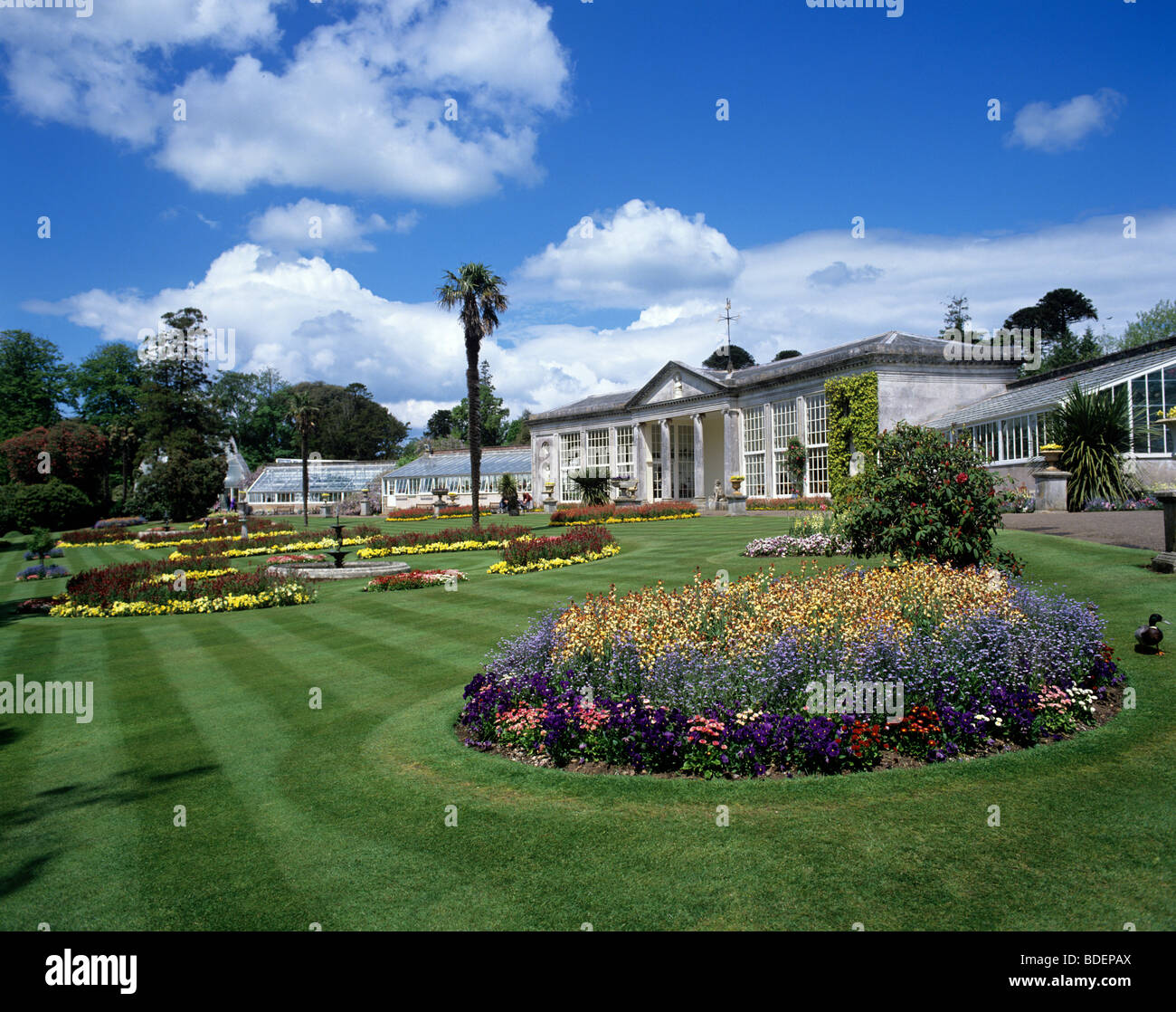Bicton park gardens hi-res stock photography and images - Alamy