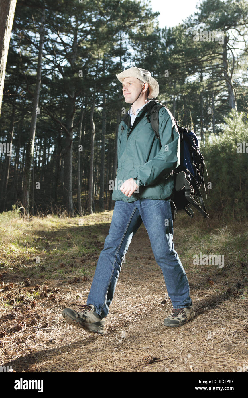 Power walk; woods hi-res stock photography and images - Alamy