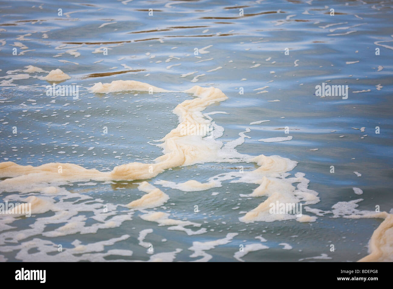 Sea Foam Froth Scum High Resolution Stock Photography and Images - Alamy