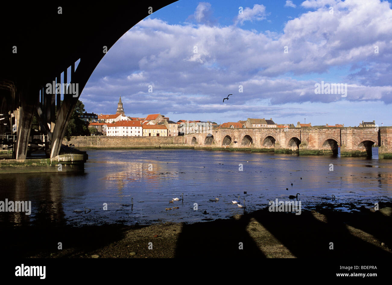 Berwick Bridge viewed from under Royal Tweed Bridge at Berwick-upon ...