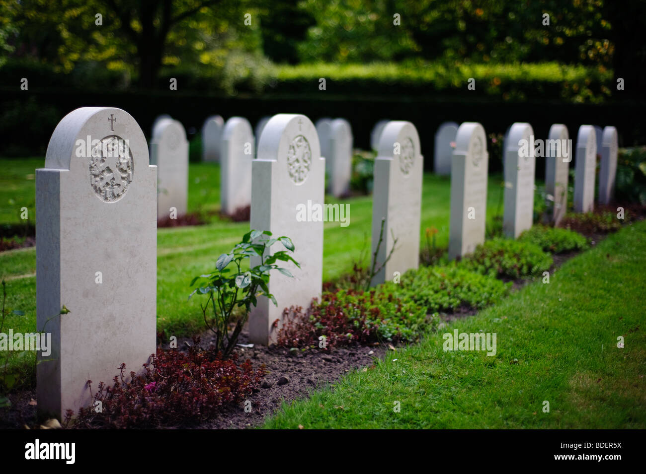 A graveyard with identical tombstone, identical, row Stock Photo - Alamy