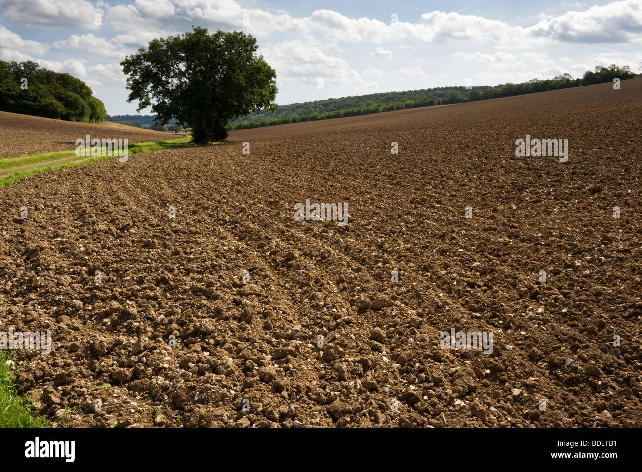 a ploughed field in Chilterns farmland Stock Photo - Alamy
