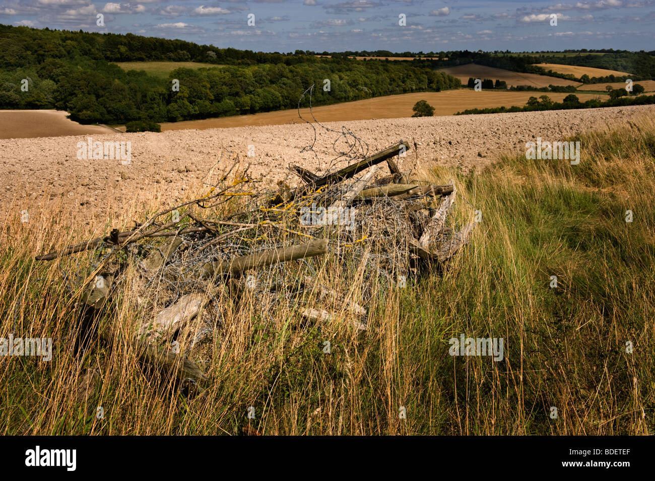 A pile of waste wood, debris and spoil marring a Chilterns countryside ...