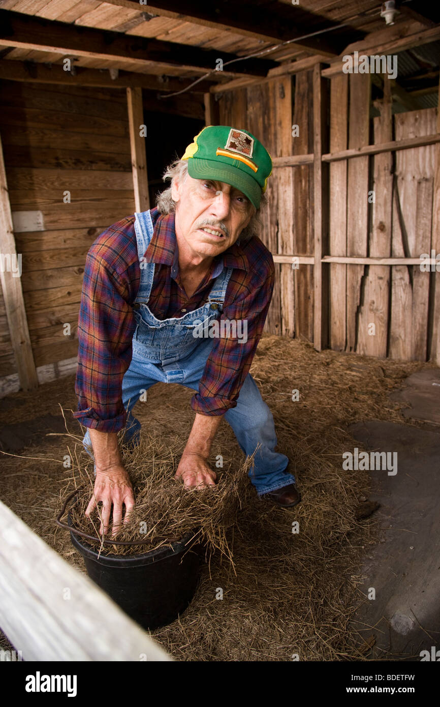 Senior man barn farmer wood hi-res stock photography and images - Alamy