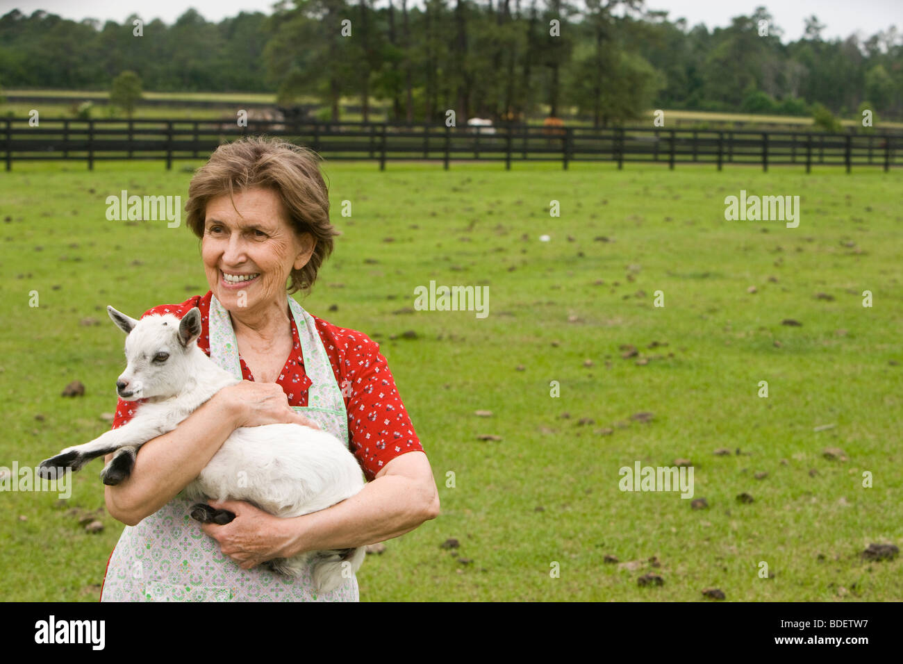 Senior woman farmer animal goat hi-res stock photography and images - Alamy