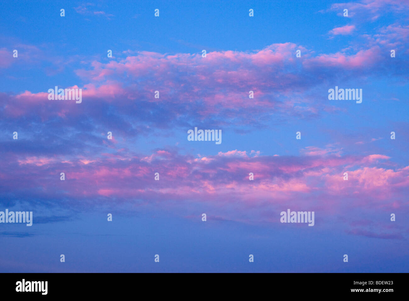 pink clouds against blue sky background at sunset Stock Photo - Alamy