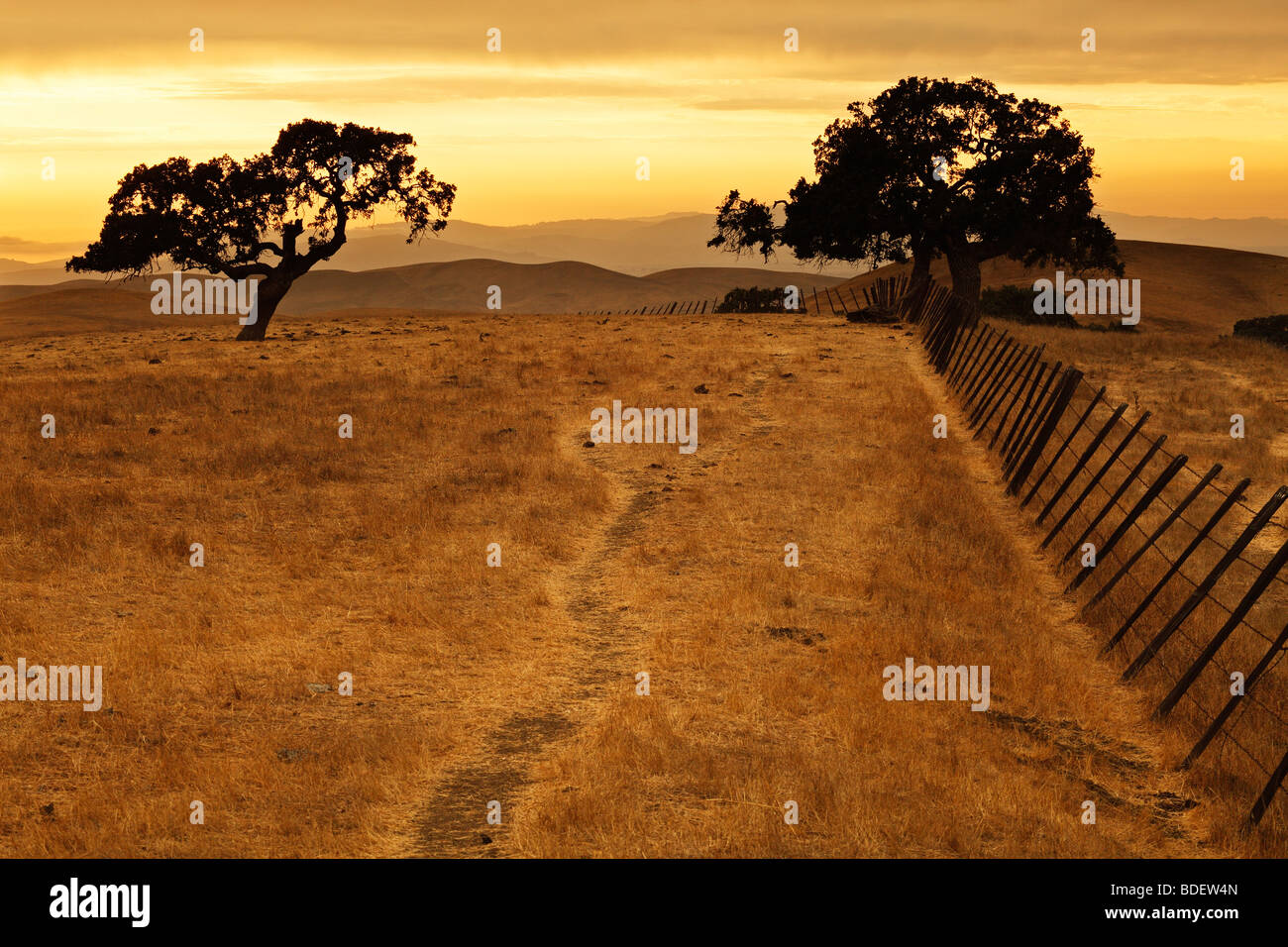 Path with fence hi-res stock photography and images - Alamy