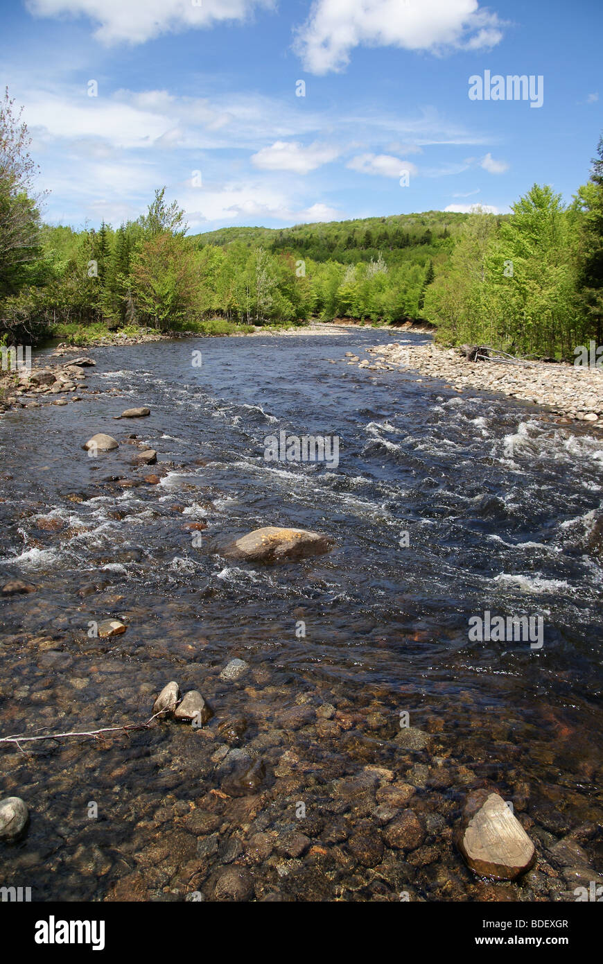 Pristine nature hi-res stock photography and images - Alamy