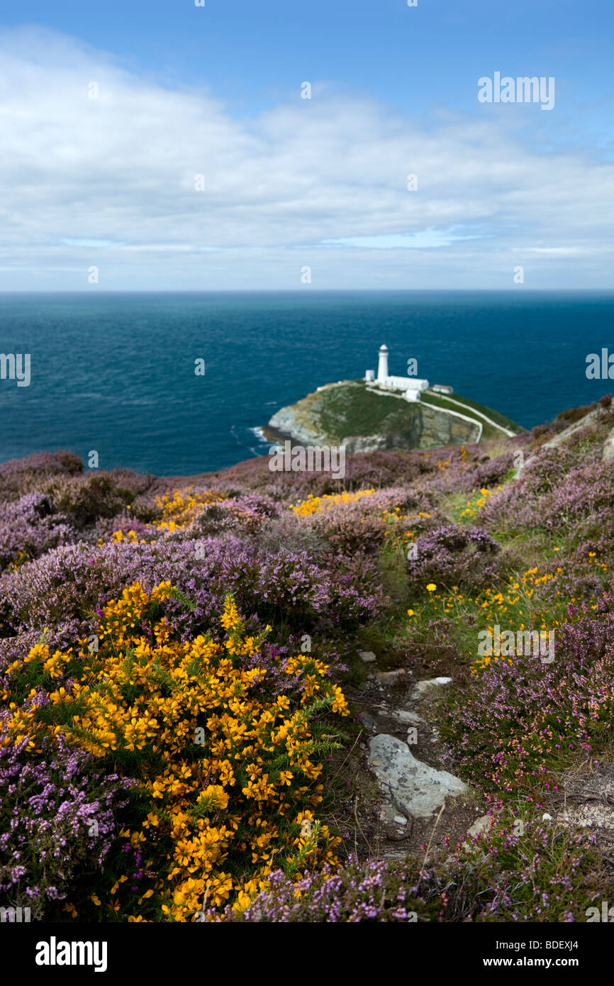 South stack wales hi-res stock photography and images - Alamy