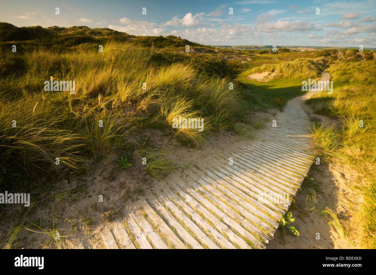 Wooden boardwalk running through sand dunes at Braunton Burrows in ...