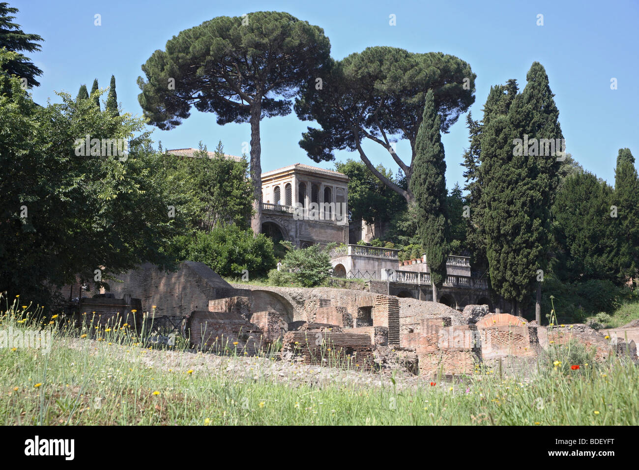 Rome trees frame hi-res stock photography and images - Alamy