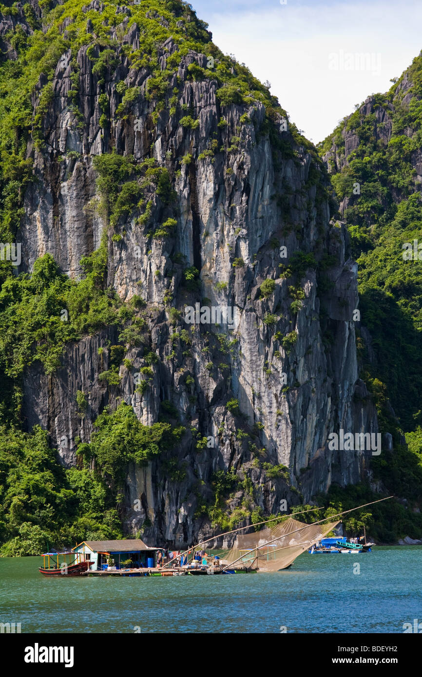 Jungle-covered limestone islands with sheer cliffs in Halong Bay ...
