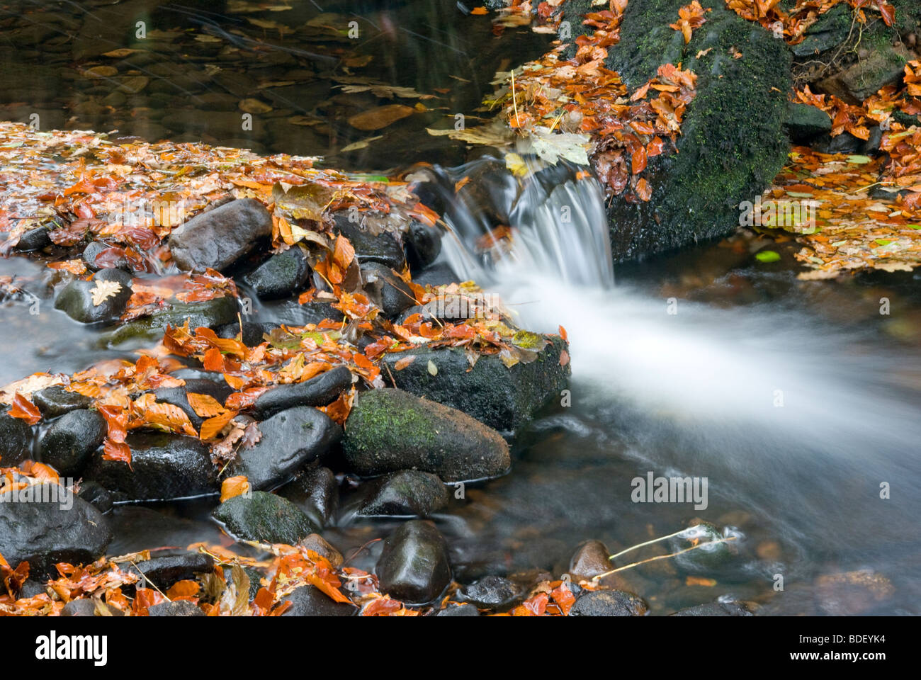 A stream in Wharfedale Yorkshire England Stock Photo - Alamy
