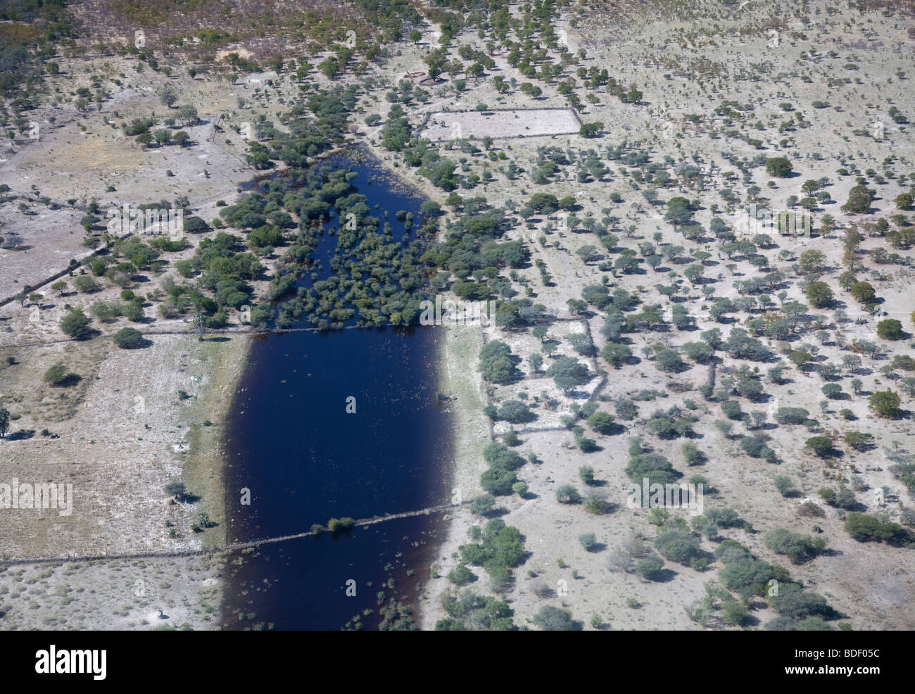 Flooded lagoon in the Okavango Delta in northern Botswana, photographed ...