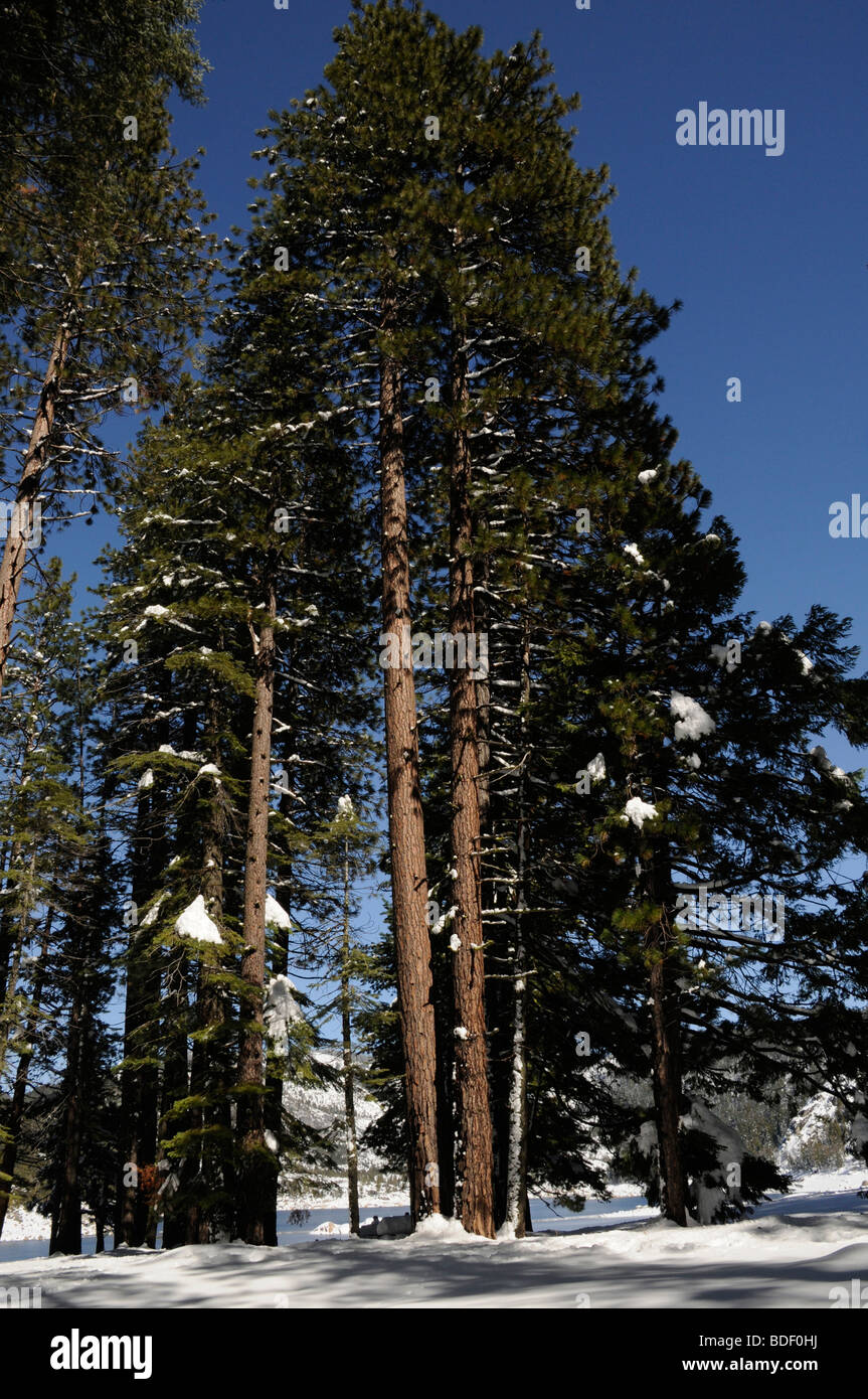 Snowy place of fun, families frolic and sledge near icy lake in soft ...