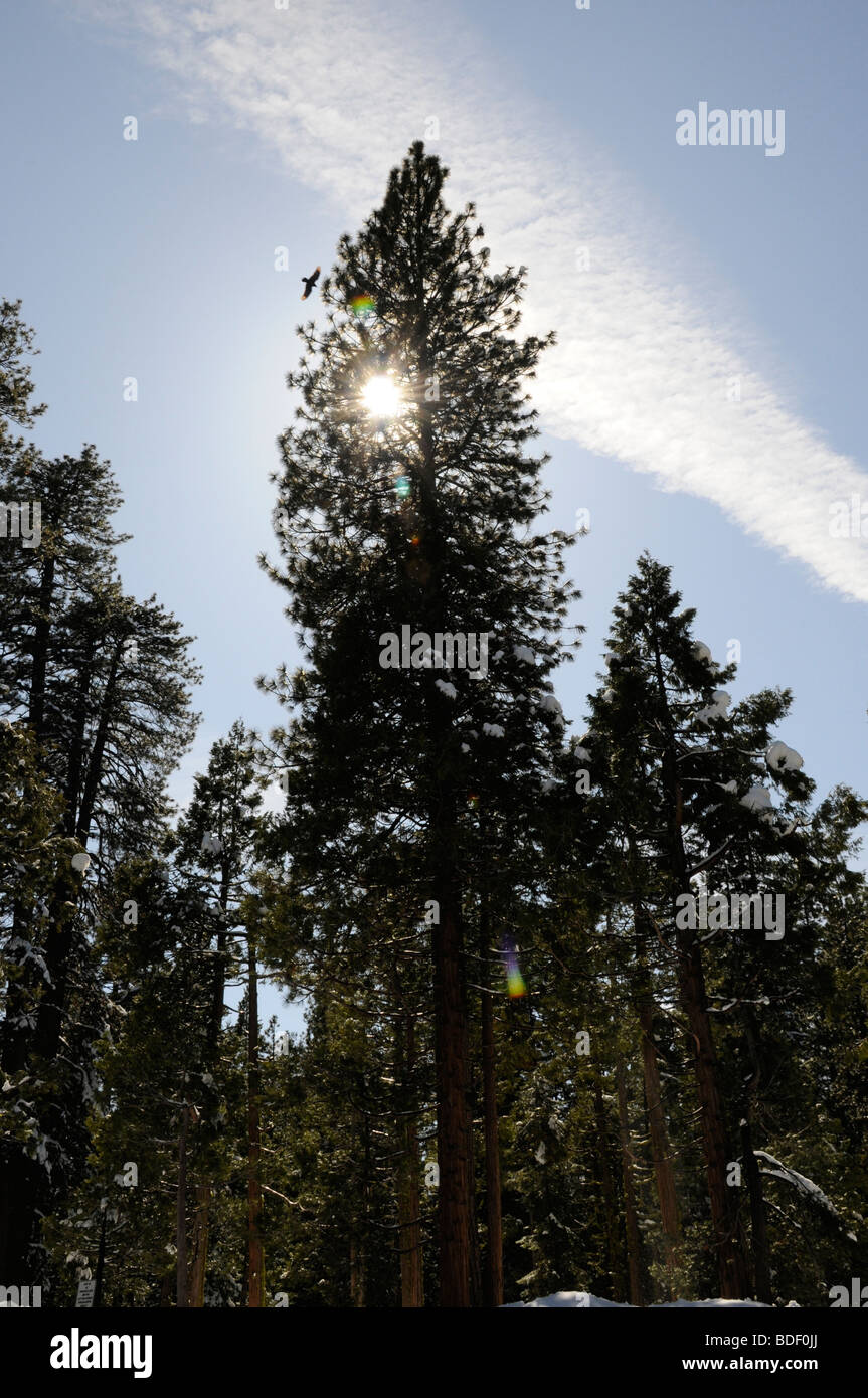 Snowy place of fun, families frolic and sledge near icy lake in soft ...