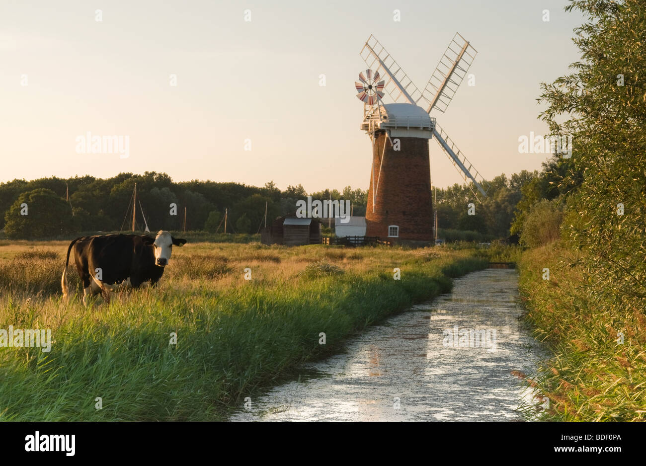 Evening light at Horsey Drainage Mill, Norfolk Stock Photo - Alamy